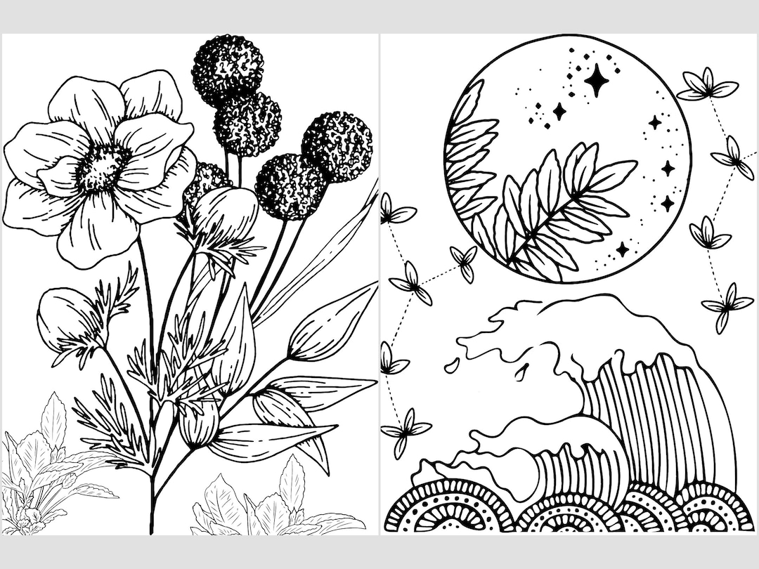 Four Coloring Pages Downloadable and Printable - Etsy