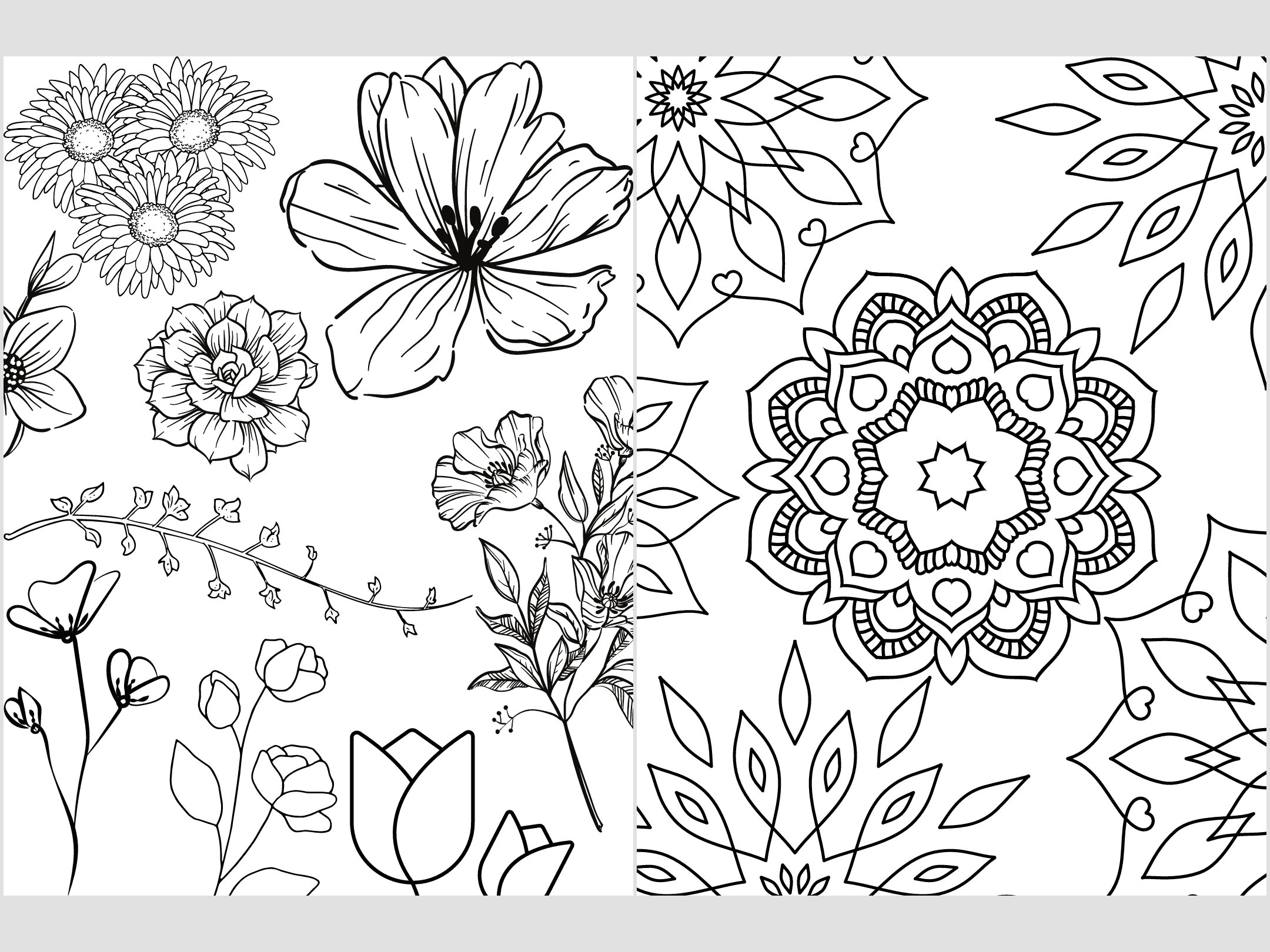 5 Printable Coloring Pages - Etsy