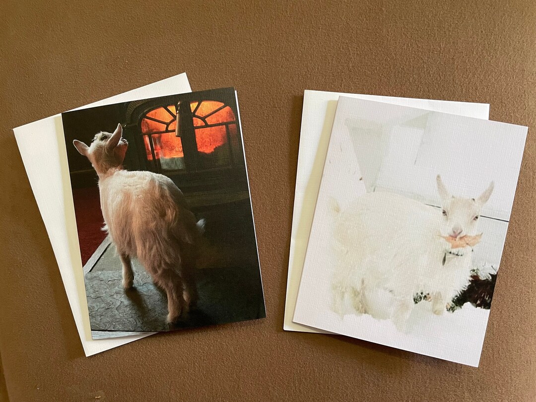 Note Cards, Goat in Snow, Goat by Wood Stove 2 Different Cards/4 Each ...