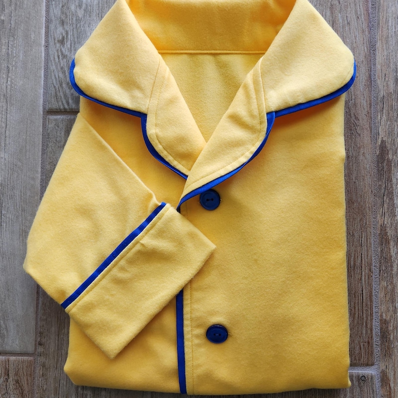 The Polar Express - Etsy