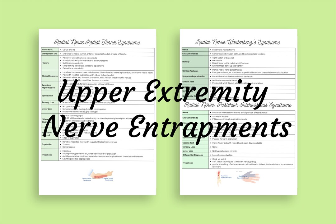 8 Page UE Nerve Entrapment Summary for OCS/NPTE for Physical Therapists ...