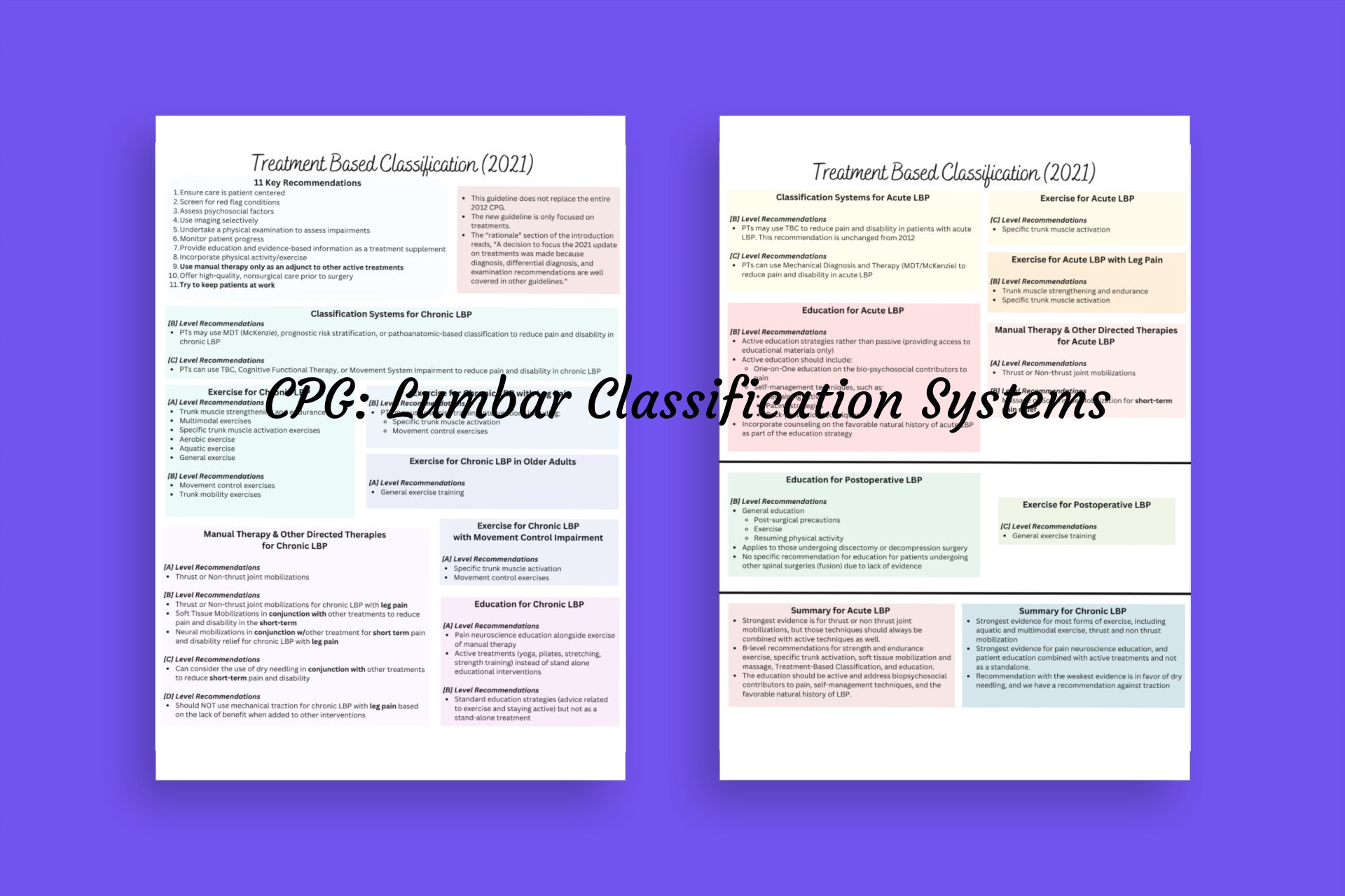 8 Page Lumbar Cpgs, ALL Treatment Based Classifications Every Created ...