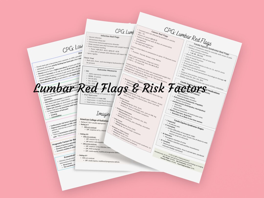 3 Page Study Guide Lumbar CPG Red Flags, Risk Factors, Prognosis - Etsy