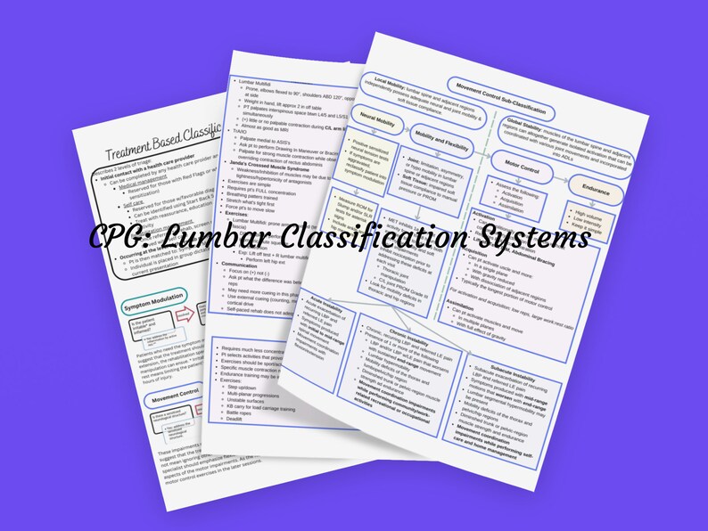 8 Page Lumbar Cpgs, ALL Treatment Based Classifications Every Created ...