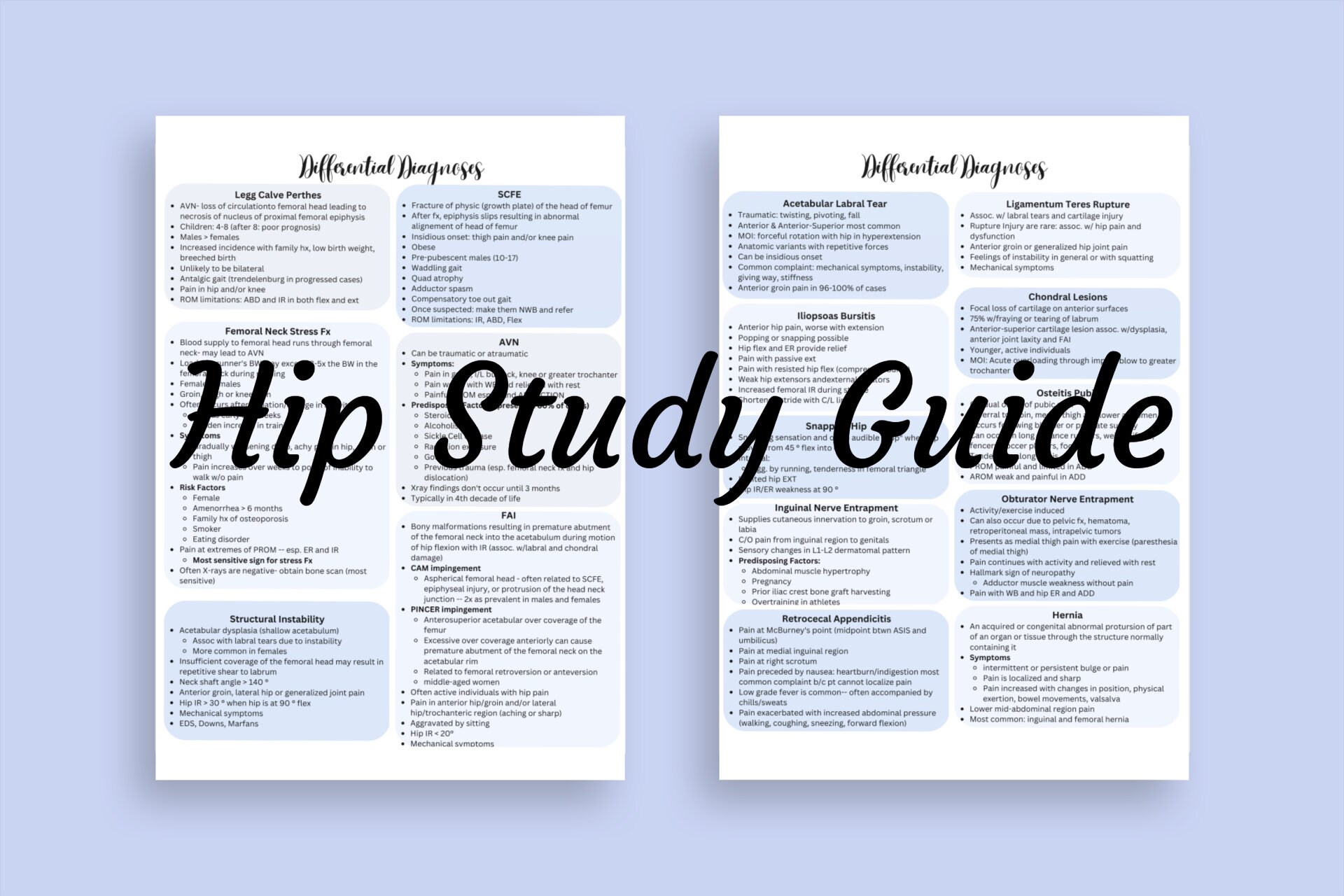 5 Page Physical Therapy Hip Study Guide for OCS Exam - Etsy