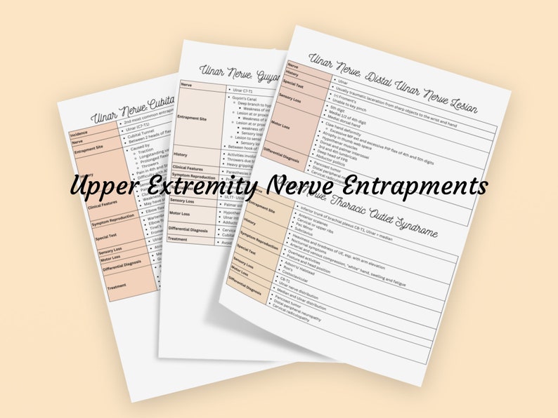 8 Page UE Nerve Entrapment Summary for OCS/NPTE for Physical Therapists ...