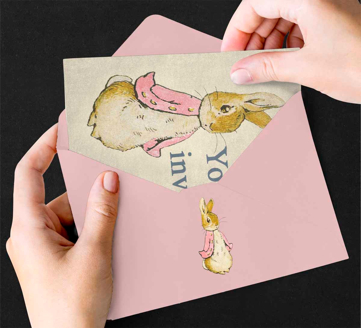 Pink Peter Rabbit, Flopsy Bunny PNG & JPEG Clip Art Graphic for Baby ...