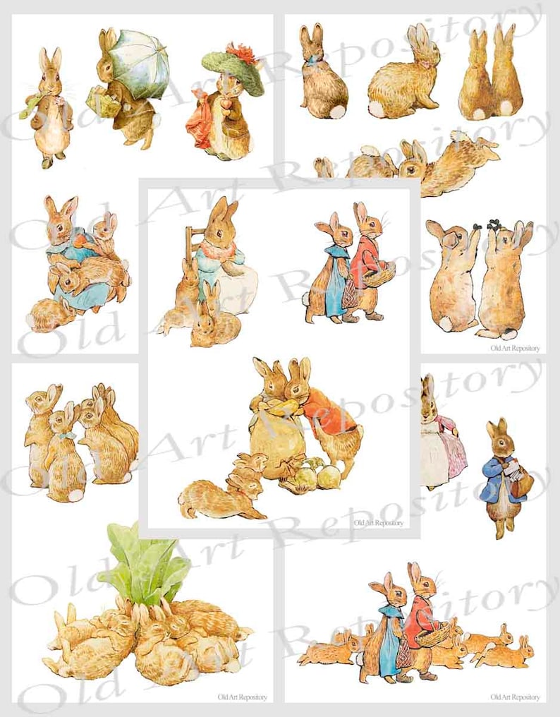 Peter Rabbit JPEG Clipart Mega Bundle for Baby Shower, Birthday Party ...