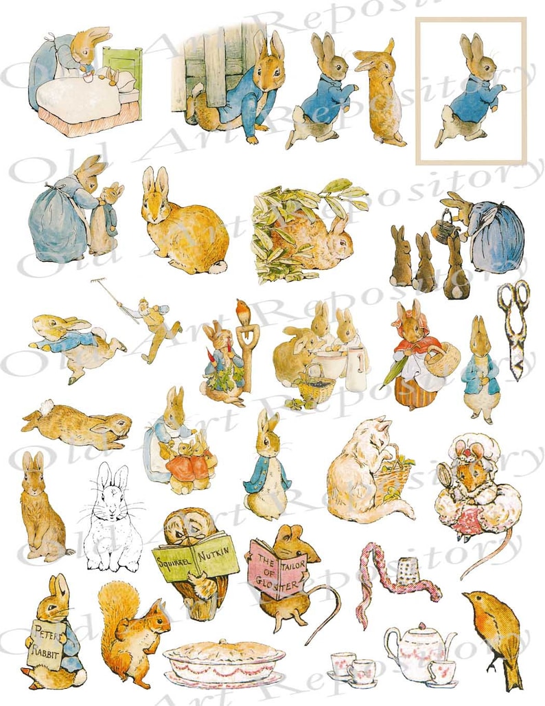 Peter Rabbit PNG clip art graphics for sublimation and crafts. - Etsy ...