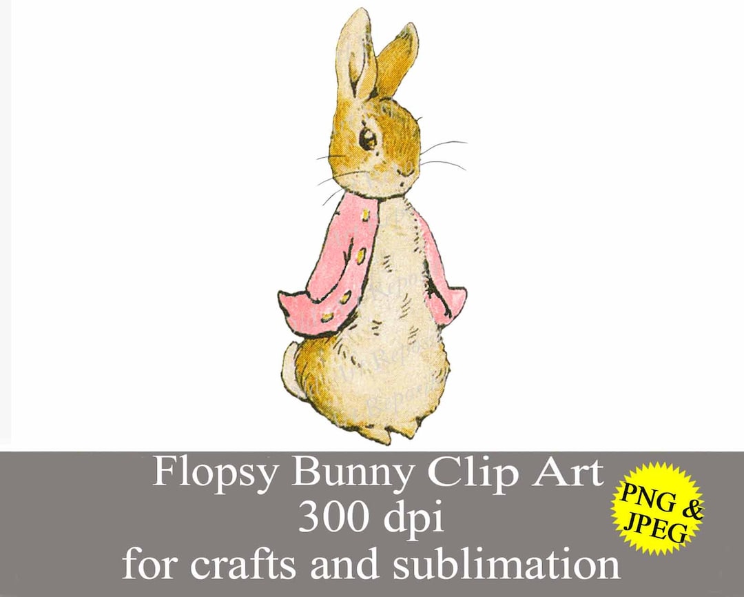 Flopsy Bunny, Pink Peter Rabbit PNG & JPEG Clip Art Graphic, Baby ...