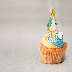 Peter Rabbit Clip Art JPEG Graphic for Baby Shower, Birthday Party ...