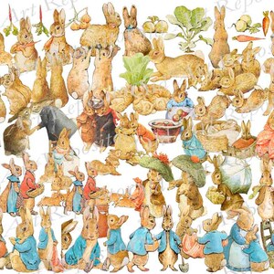Peter Rabbit PNG Clip Art Mega Bundle for Baby Shower Birthday Party ...