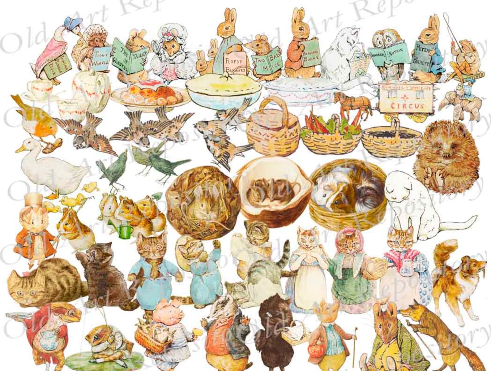 Peter Rabbit PNG Clip Art Mega Bundle for Baby Shower Birthday Party ...