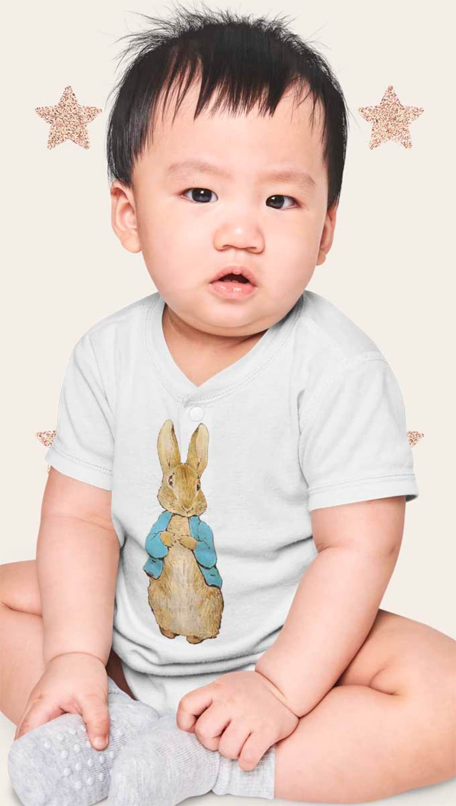 Peter Rabbit PNG Clip Art Mega Bundle for Baby Shower Birthday Party ...