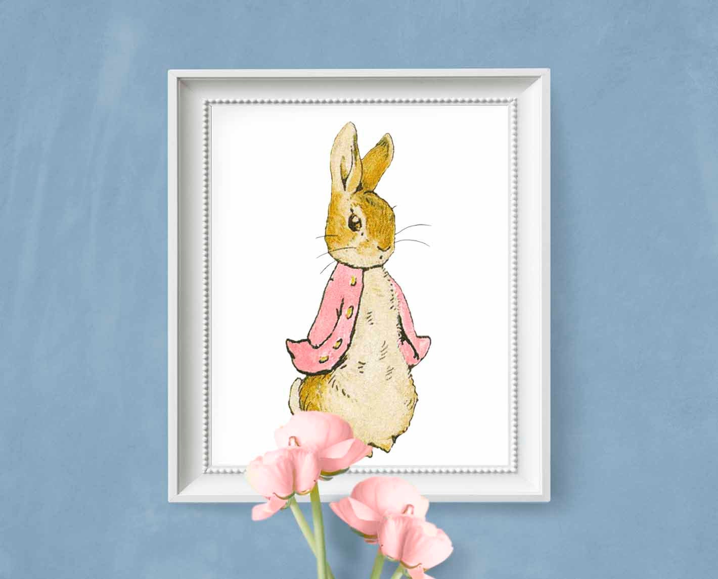 Pink Peter Rabbit, Flopsy Bunny PNG & JPEG Clip Art Graphic for Baby ...