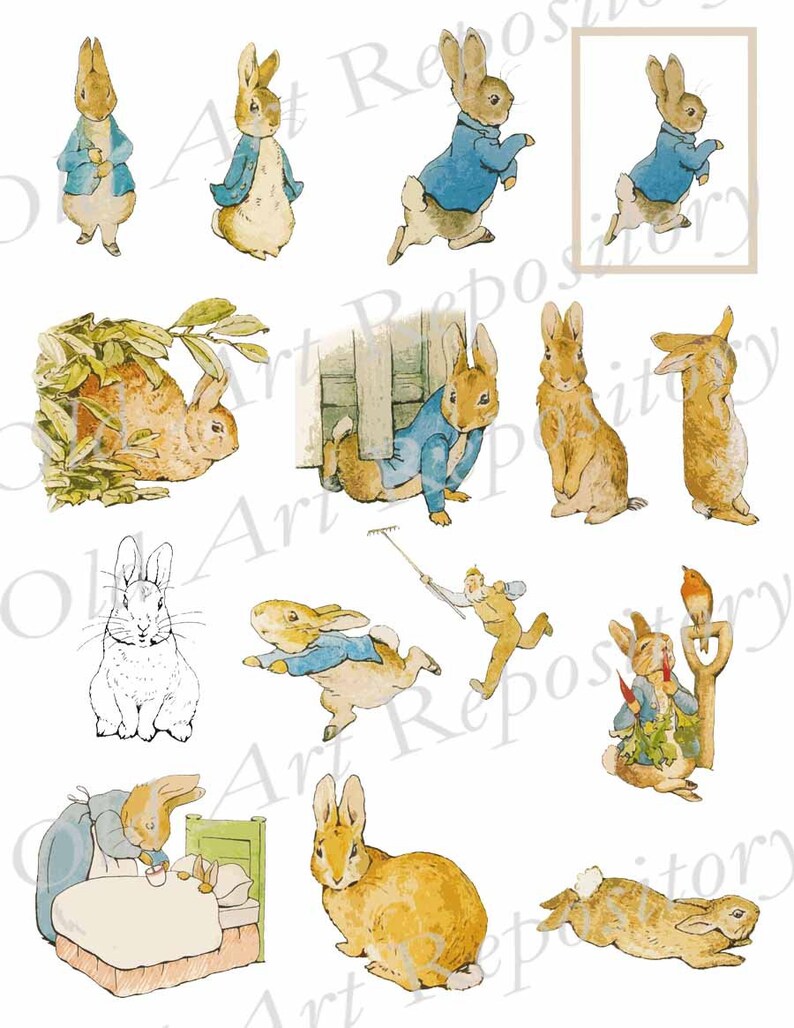 Peter Rabbit SVG Clip Art Graphic for Baby Shower, Birthday Party ...