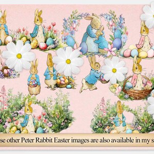 Peter Rabbit Easter Bunny Clipart PNG & JPEG Digital Printable 1 for ...
