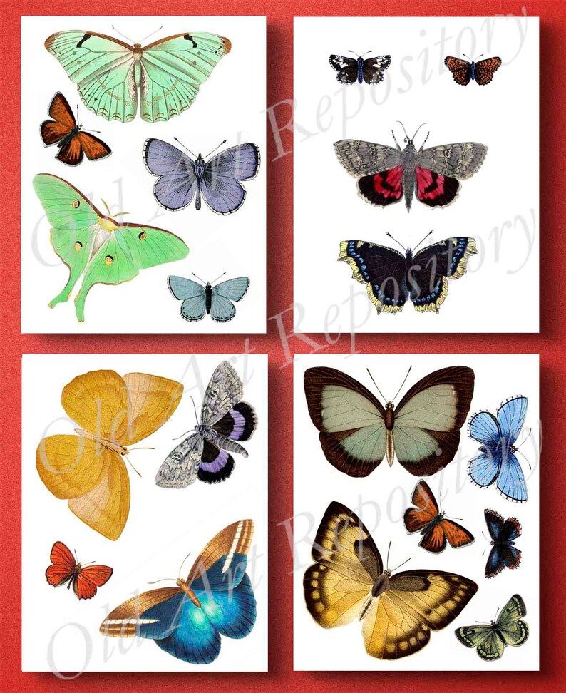 Vintage Butterflies Clip Art PNG JPEG Butterfly Watercolor - Etsy UK