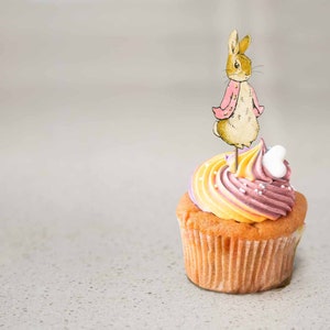 Flopsy Bunny, Pink Peter Rabbit PNG & JPEG Clip Art Graphic, Baby ...