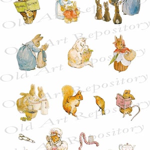 Peter Rabbit Clip Art JPEG Graphic for Baby Shower, Birthday Party ...