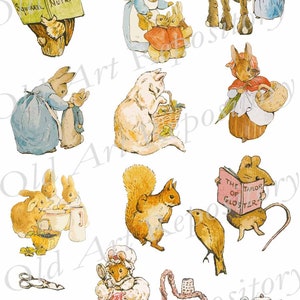 Peter Rabbit SVG Clip Art Graphic for Baby Shower, Birthday Party ...