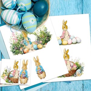 Peter Rabbit Easter Bunny Clipart PNG & JPEG Digital Printable 1 for ...
