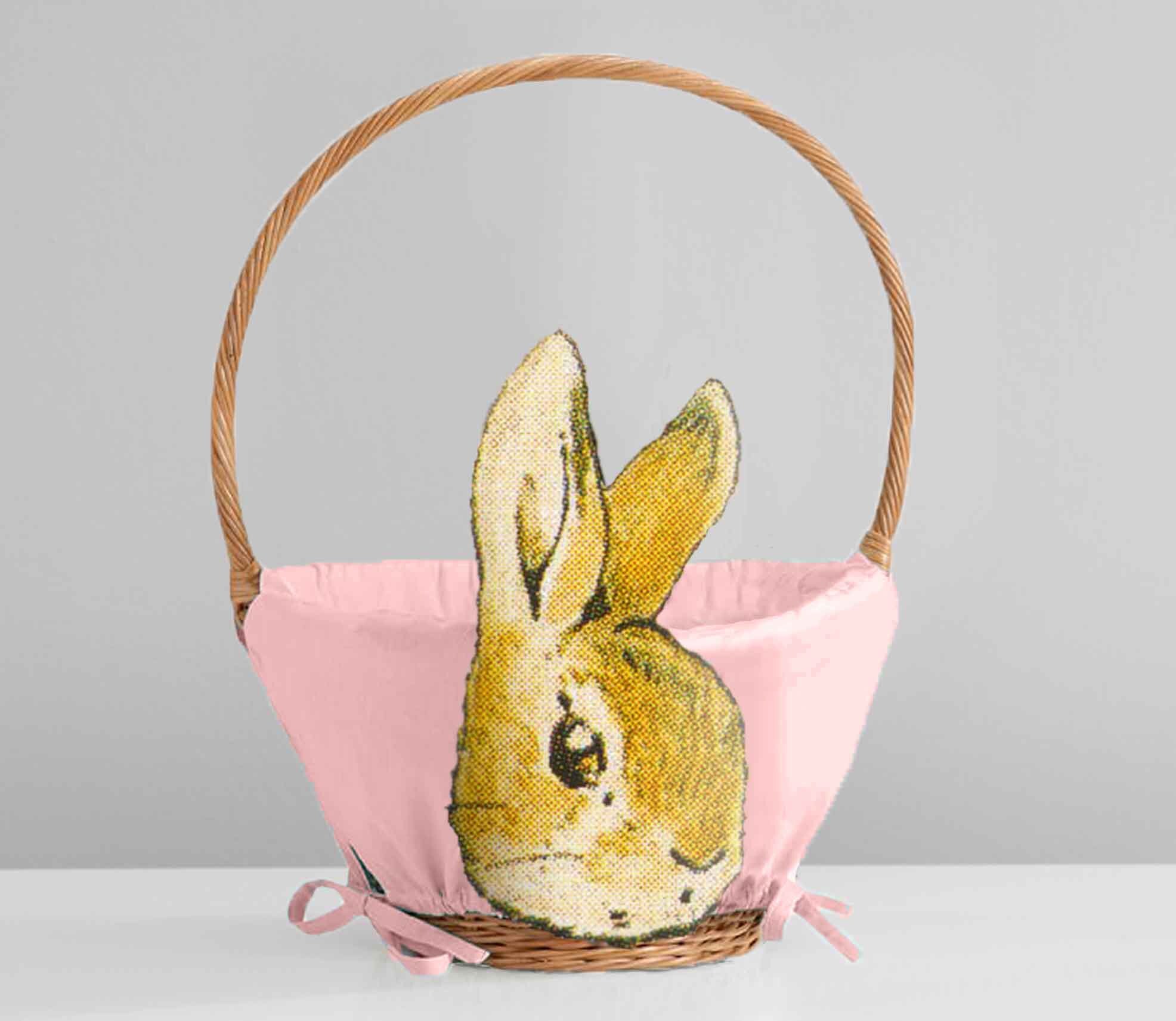 Pink Peter Rabbit, Flopsy Bunny PNG & JPEG Clip Art Graphic for Baby ...