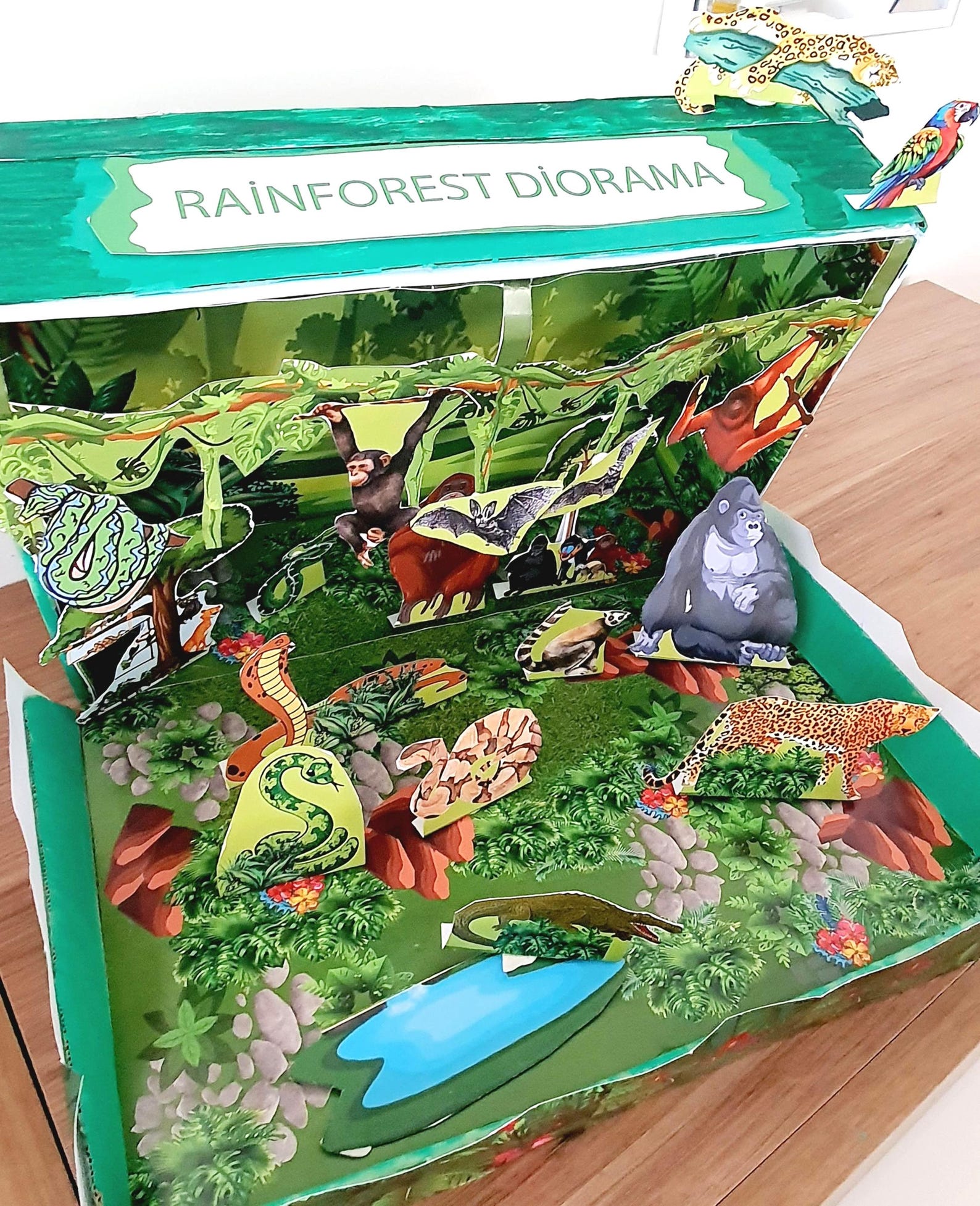 Printable Shoebox Diorama Rainforest: Tropikal Animals Habitat Project ...