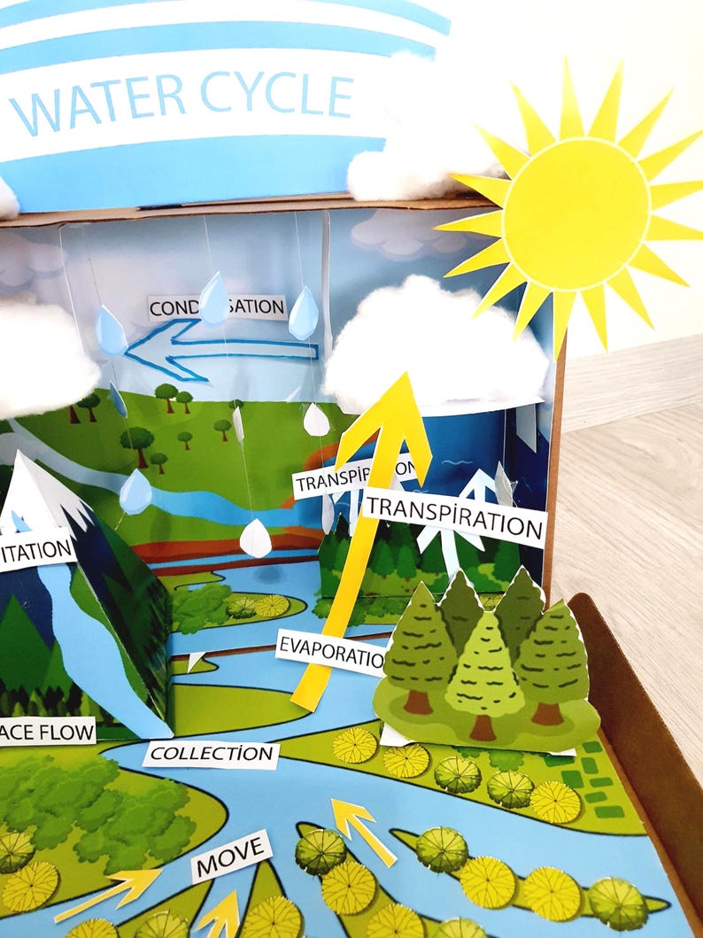 Printable Water Cycle Shoebox Diorama:project for Kids Digital File - Etsy