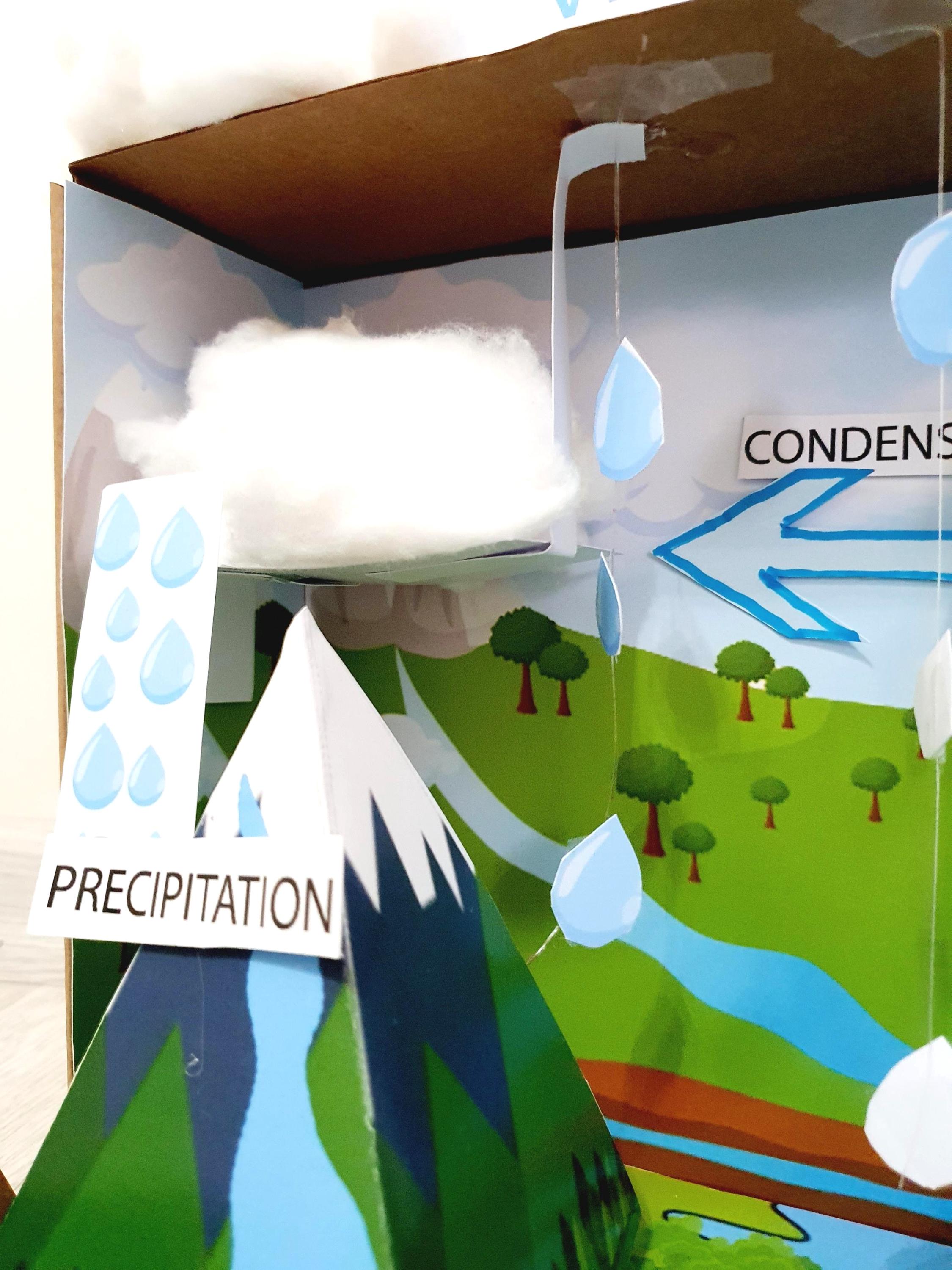 Printable Water Cycle Shoebox Diorama:project for Kids Digital File - Etsy