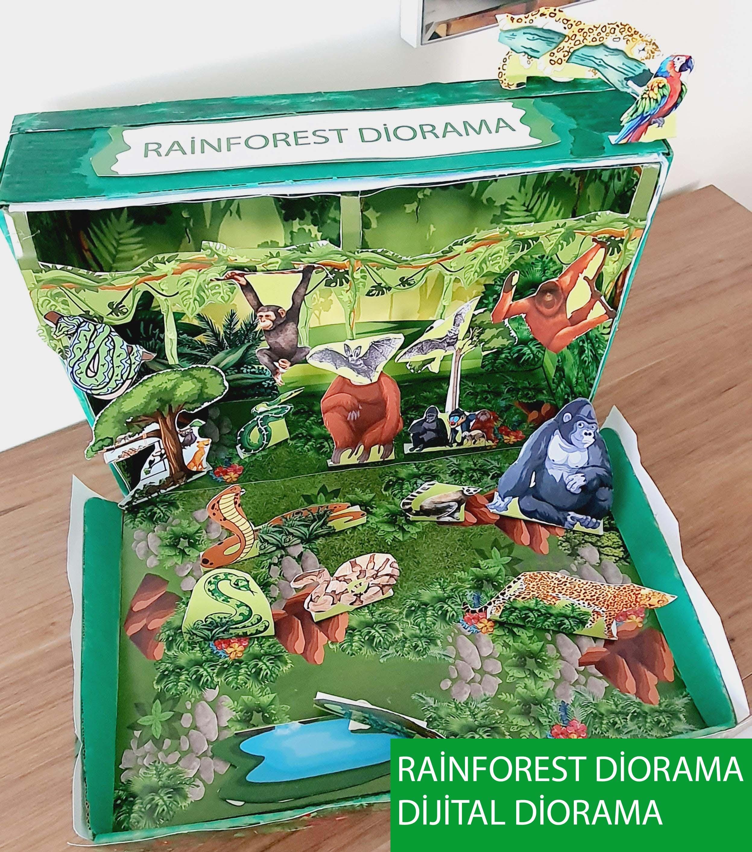 Printable Shoebox Diorama Rainforest: Tropikal Animals Habitat Project ...