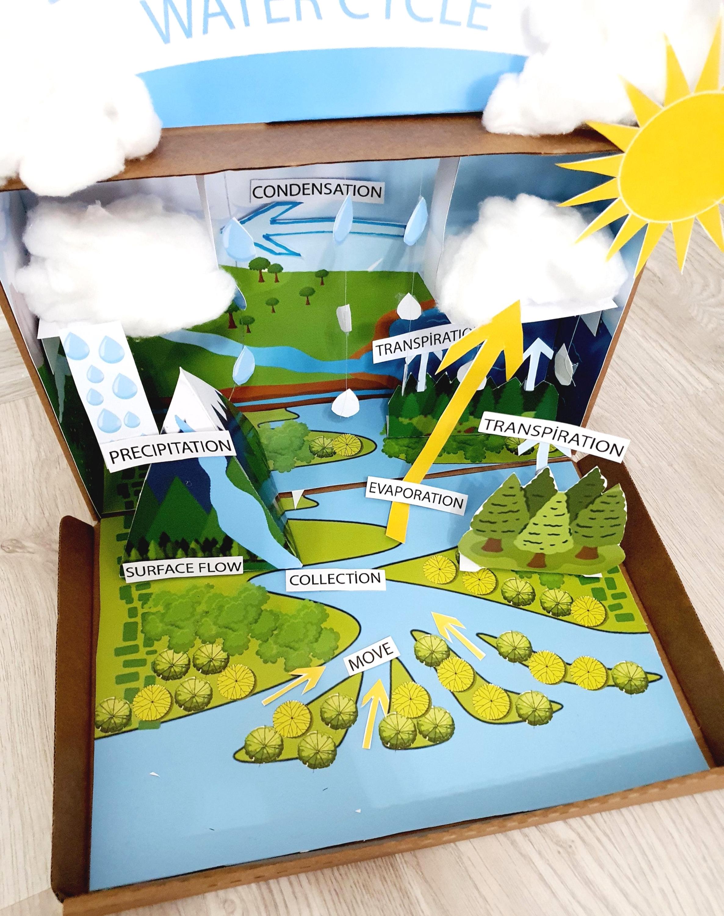 Printable Water Cycle Shoebox Diorama:project for Kids Digital File - Etsy