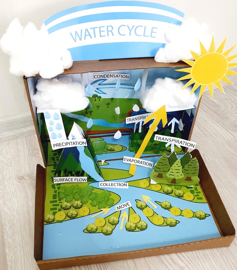 Printable Water Cycle Shoebox Diorama:project for Kids Digital File - Etsy