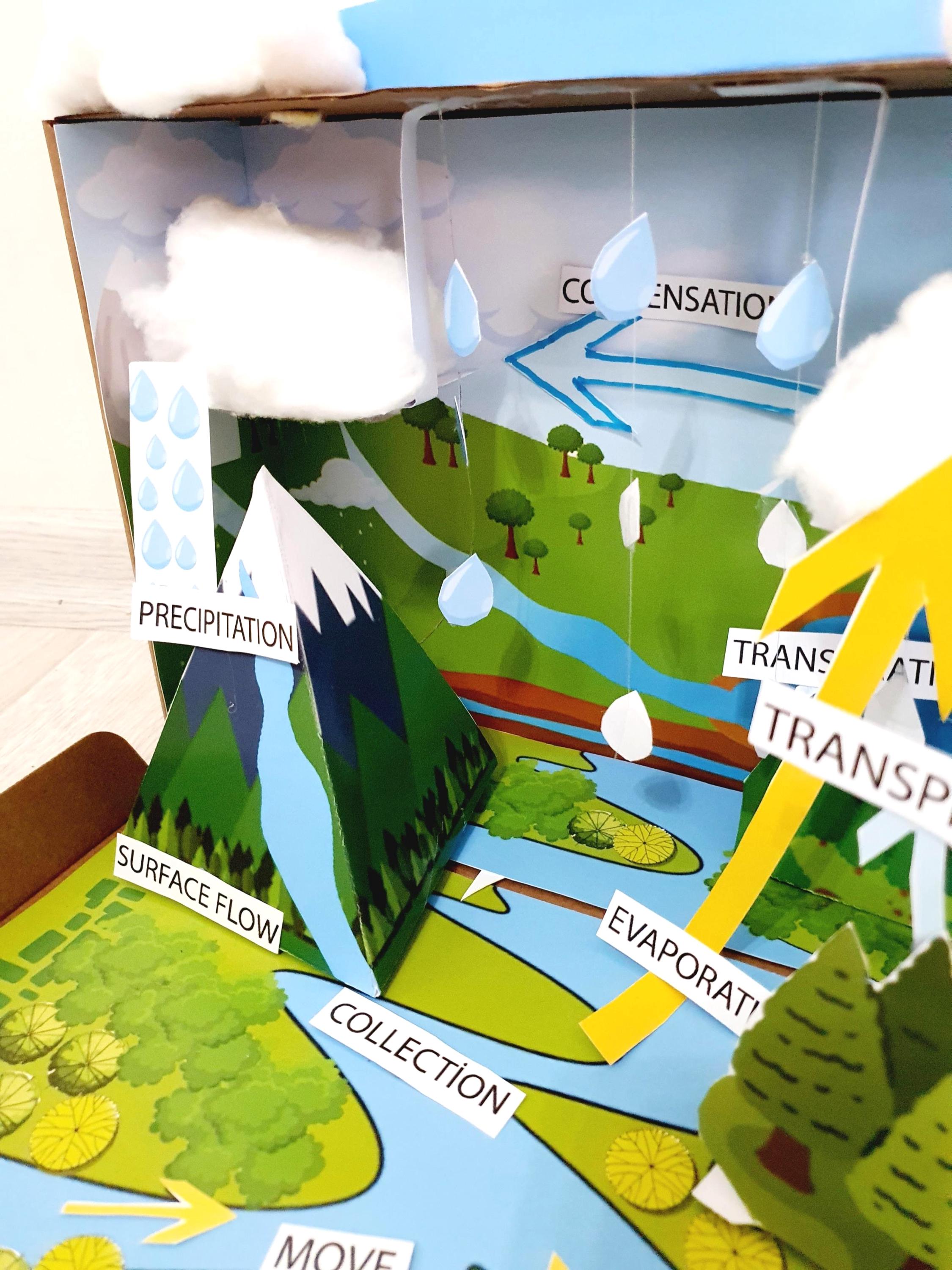 Printable Water Cycle Shoebox Diorama:project for Kids Digital File - Etsy