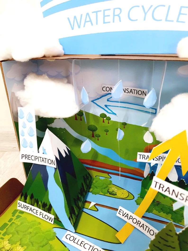 Printable Water Cycle Shoebox Diorama:project for Kids Digital File - Etsy