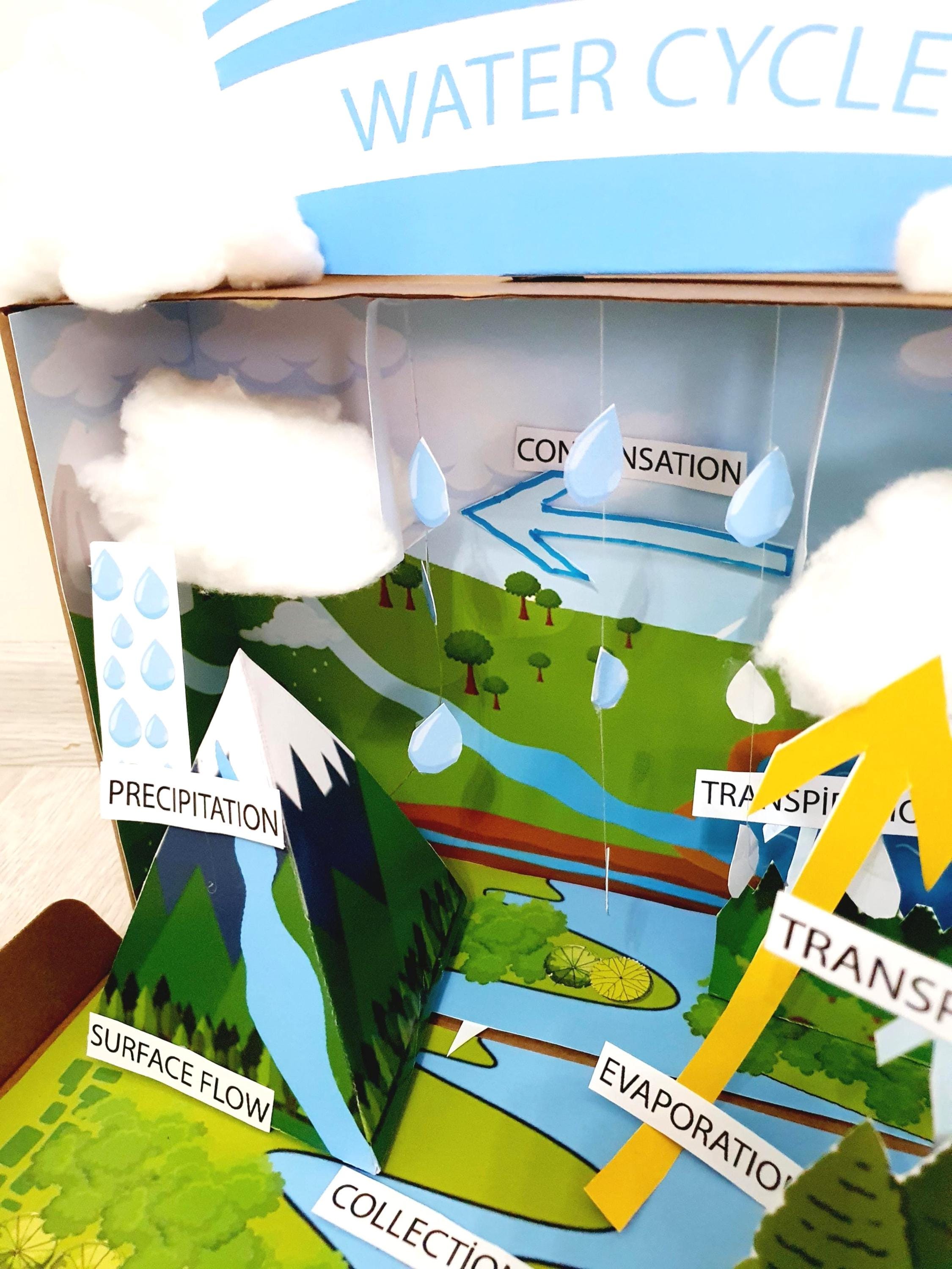 Printable Water Cycle Shoebox Diorama:project for Kids Digital File - Etsy
