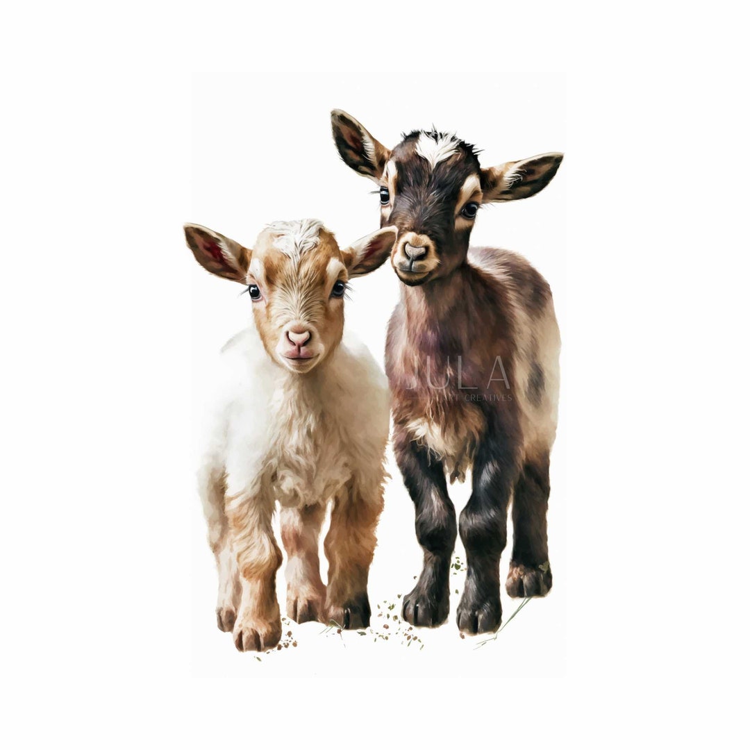 Two Baby Goats Printable Wall Art, Watercolor Goats Print, Nursery Wall ...