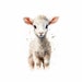 Cute Lamb Printable Wall Art, Watercolor Lamb Print, Nursery Wall Art ...