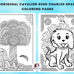 Cavalier King Charles Spaniel Adult Coloring Book Pages | Dog Colouring ...