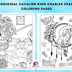 Cavalier King Charles Spaniel Adult Coloring Book Pages | Dog Colouring ...
