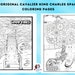 Cavalier King Charles Spaniel Adult Coloring Book Pages Vol. 2| Dog ...