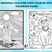 Cavalier King Charles Spaniel Adult Coloring Book Pages | Dog Colouring ...
