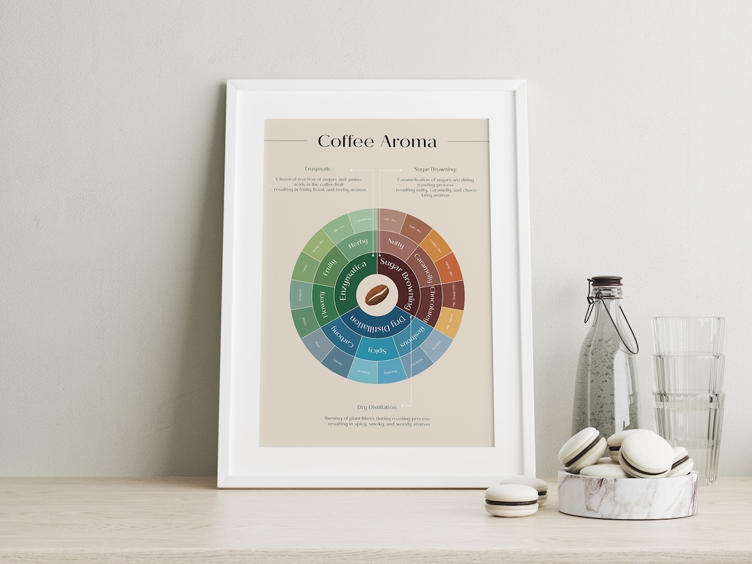 Coffee Aroma Wheel, Flavour Wheel, Coffee Poster, Printed Illustration ...