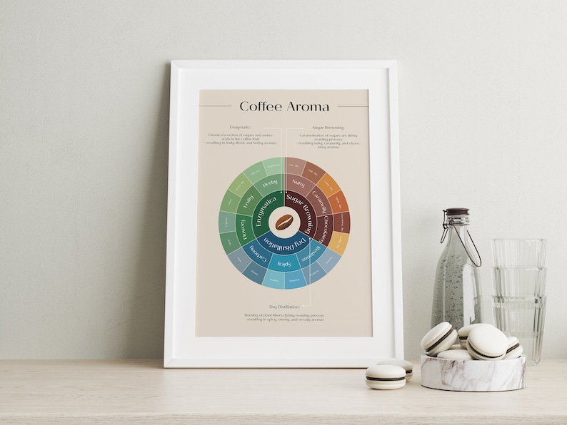 Coffee Aroma Wheel, Flavour Wheel, Coffee Poster, Printed Illustration ...