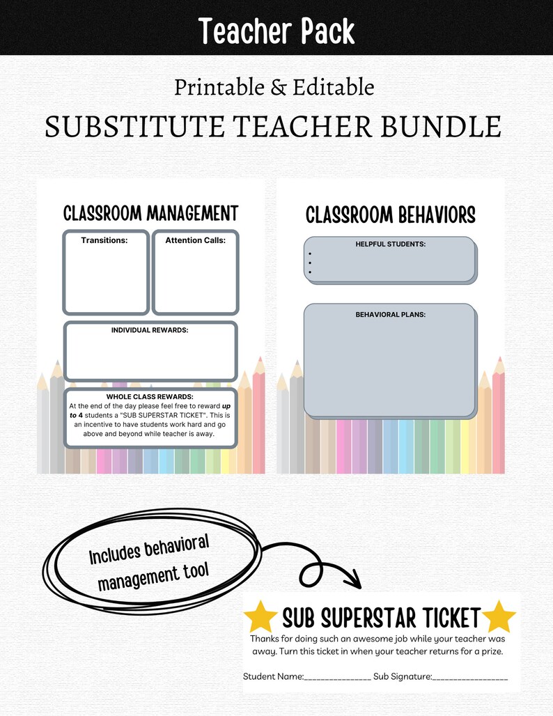 Substitute Teacher Binder Bundle- Art Theme - Etsy