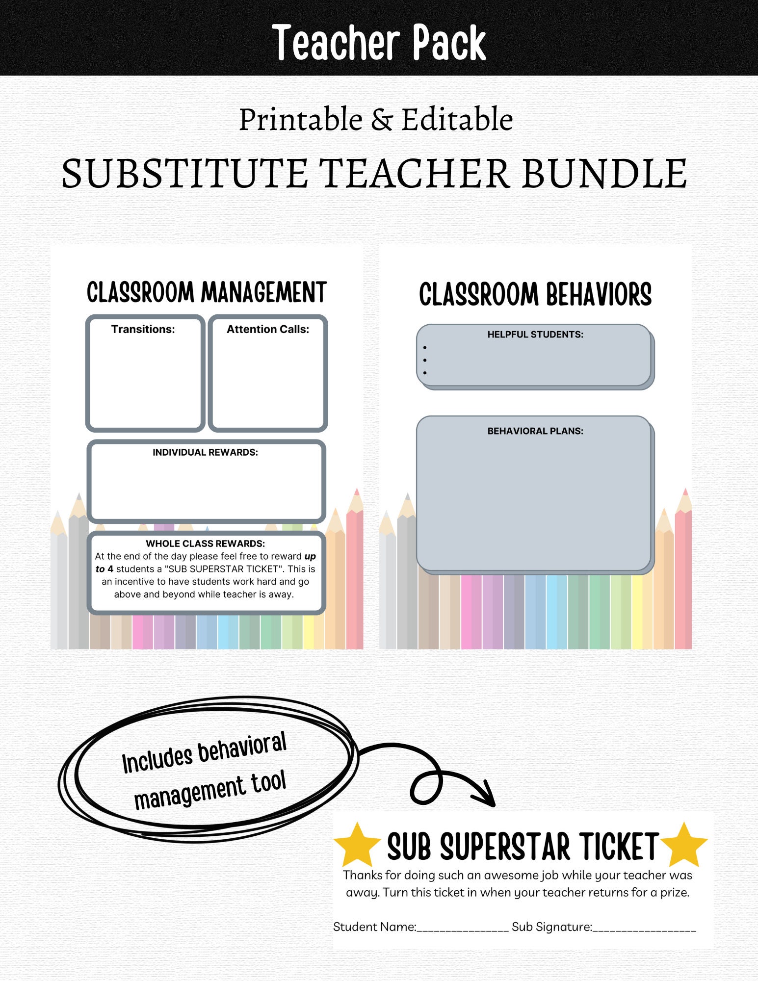 Substitute Teacher Binder Bundle Art Theme - Etsy