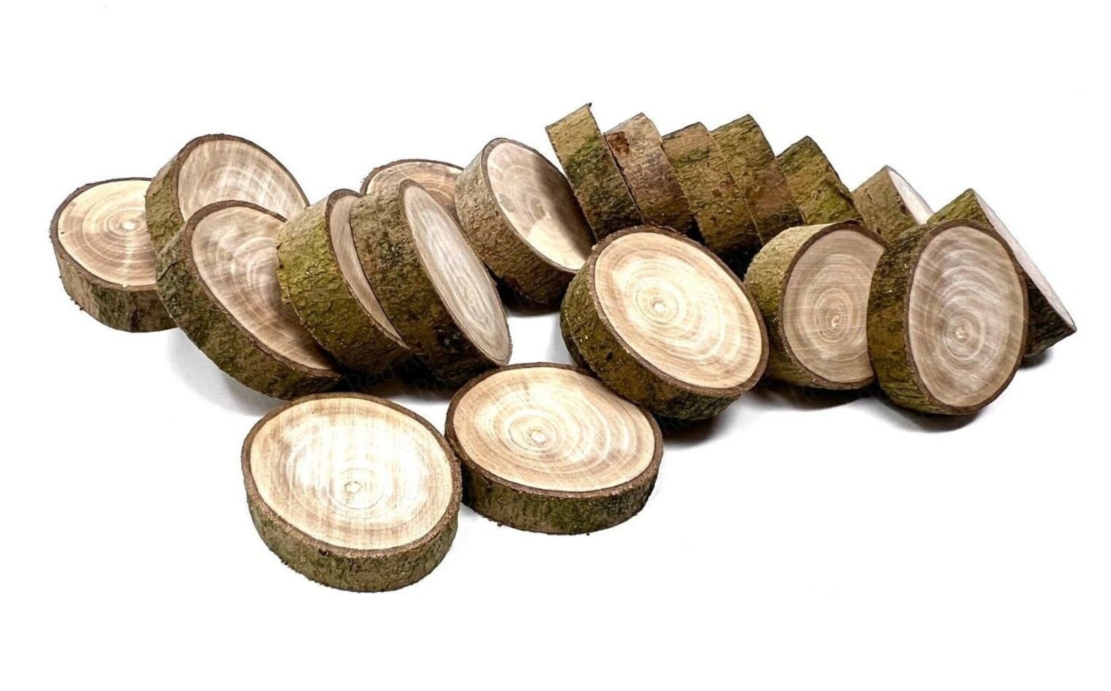 20 X Lilac or Plum Slices Wooden Craft Decor, Natural Wood - Etsy