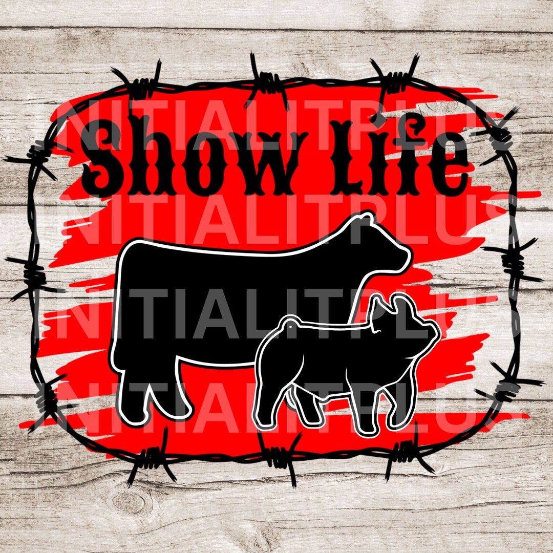 Show Life PNG, Stock Show Cow, Show Pig PNG, Western Show Pig , Show ...