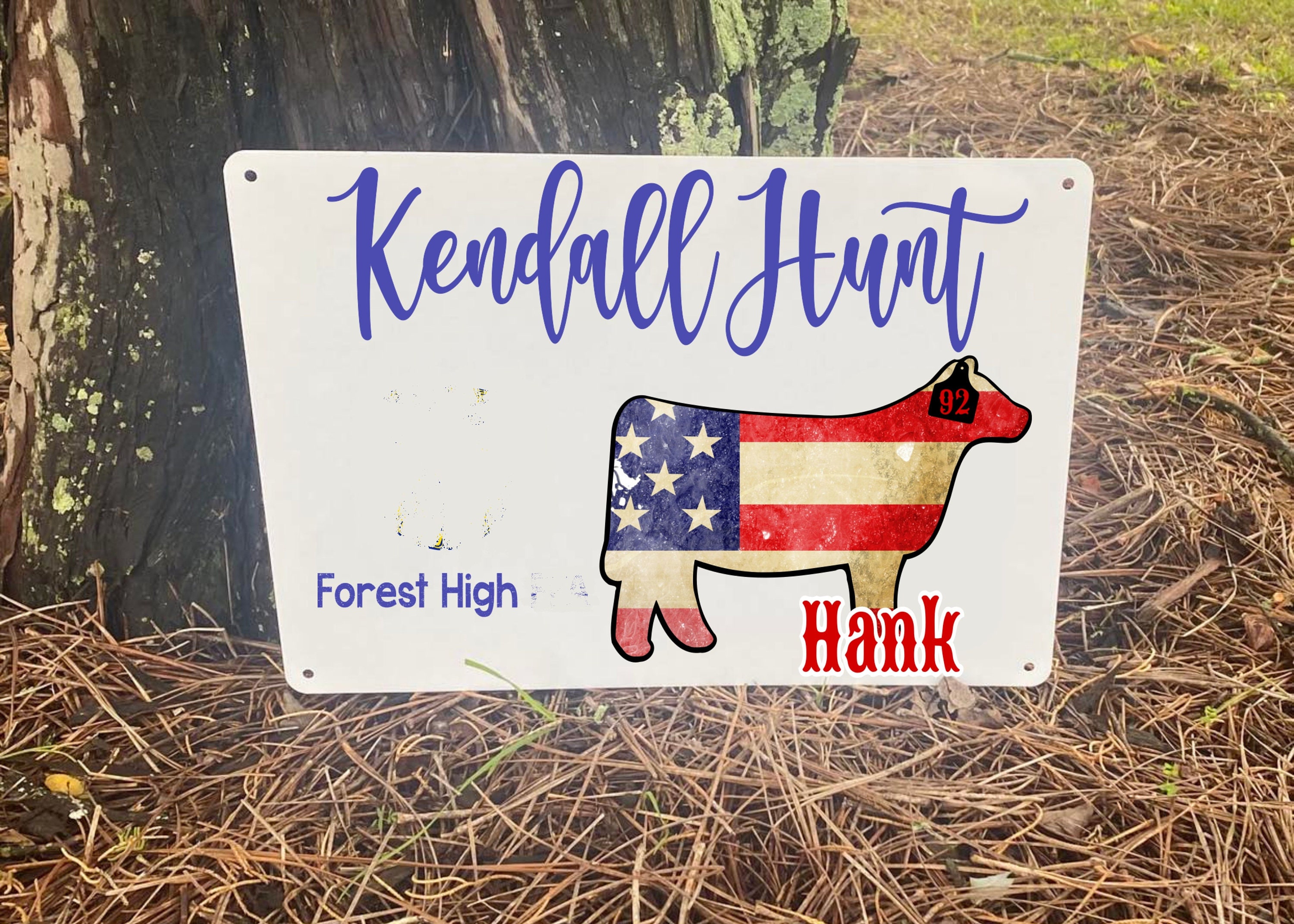 Custom Show Signs, Show Pig Sign, Show Cow Sign, Livestock Show Stall ...