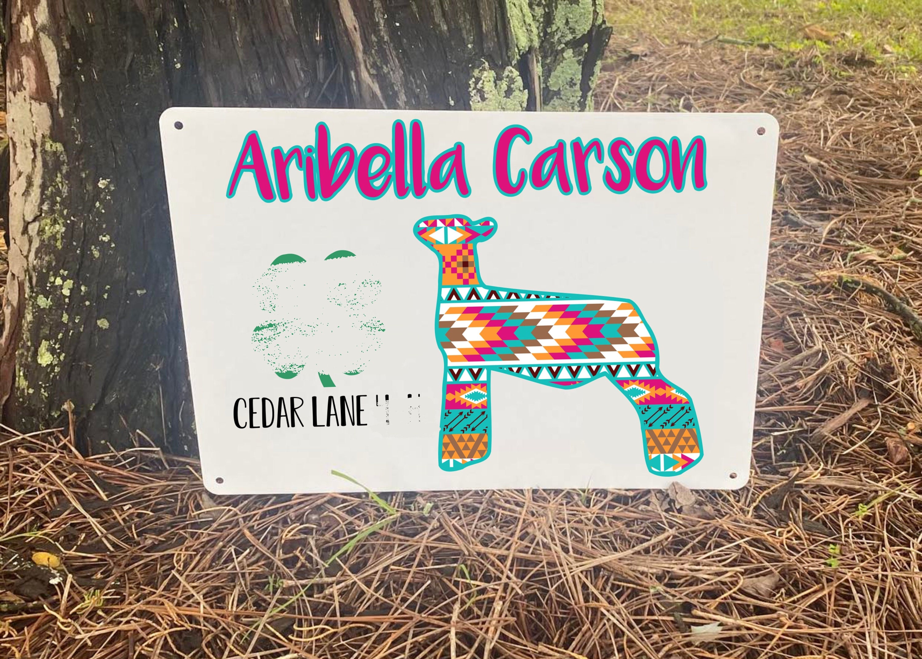 Custom Show Signs, Show Pig Sign, Show Cow Sign, Livestock Show Stall ...